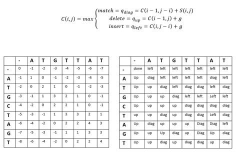 Needleman Wunsch Algorithm For Dna Sequence Alignment By Mithunjha Anandakumar Medium