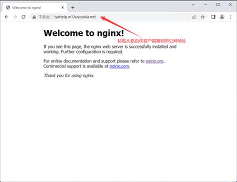 外网访问 Nginx 服务 帮助中心 路由侠