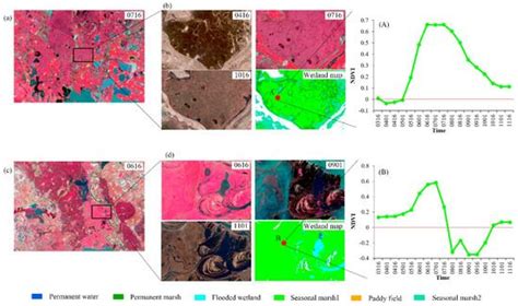 Remote Sensing Mdpi On Linkedin Notablepaper Wetland Remotesensing Vegetation