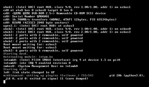 middlewared setting up plugins failover python 3 8 exited signal 11