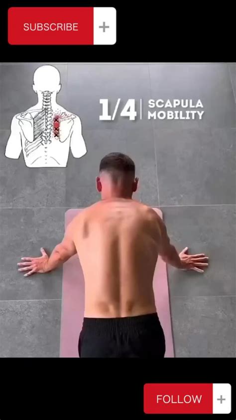 Shoulder Freedom Scapula Mobility Secrets Scapularpain