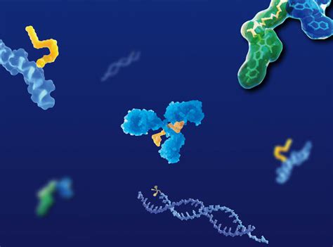抗体偶联药物（adc）药代动力学研究服务 药明康德dmpk