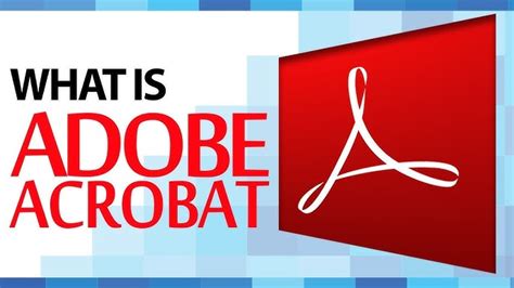 Adobe Reader Vs Adobe Acrobat Decoding The Differences