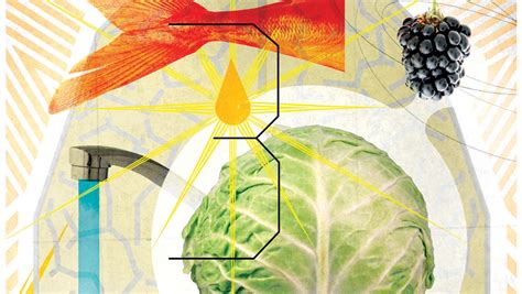 How Vitamin D Helps To Support Your Sex Drive