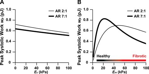 Predicted Relative Contributions Of Cell Elastic Modulus And Matrix