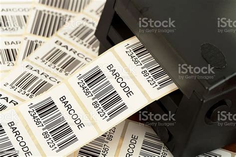 Asset Id Labels At एसेट टैग In Ahmedabad Id 2856291357473