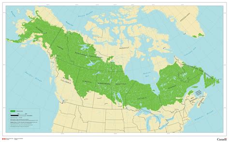 Coniferous Forests Map