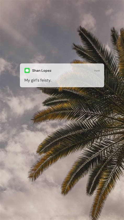 Text Message Wallpapers Top Free Text Message Backgrounds Wallpaperaccess