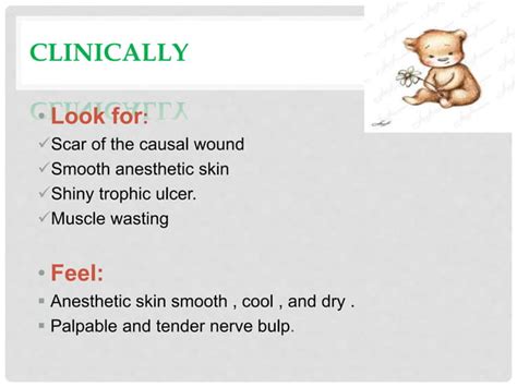 Introduction To Periphral Nervous Sys Ppt
