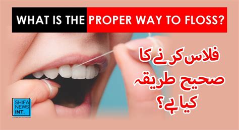 Dental Floss How To Floss Your Teeth Properly Shifa News Shifa News International