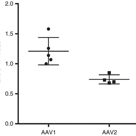 Ratios Of Primary Areas Of Transduction Pat To Vector Distribution