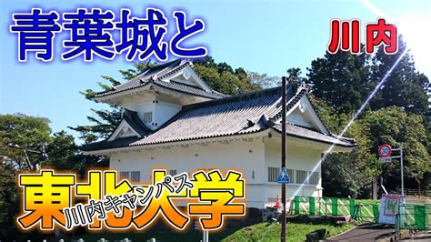ダウンタウン散策青葉城と東北大学川内キャンパス 川内仙台市青葉区 YouTube