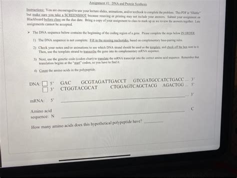 Solved Assignment DNA And Protein Synthesis Chegg