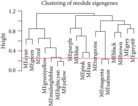 Construction Of The Weighted Gene Coexpression Network Analysis A Download Scientific