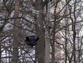 Просмотр фотографии