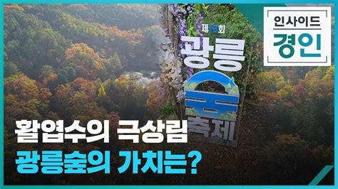 인사이드 경인 활엽수의 극상림 광릉숲의 가치는 Kbs 20231018 Youtube