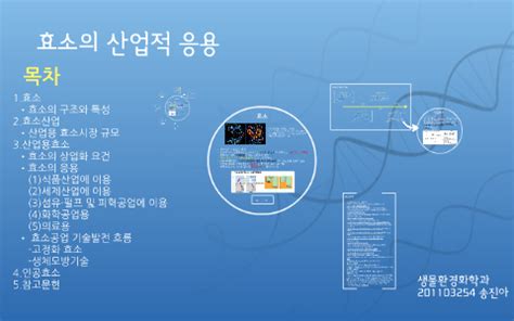 효소의 산업적 응용 by jinah song on Prezi