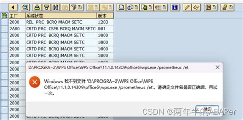 使用wps时，sap导出文件提示windows找不到文件sap Wps Csdn博客