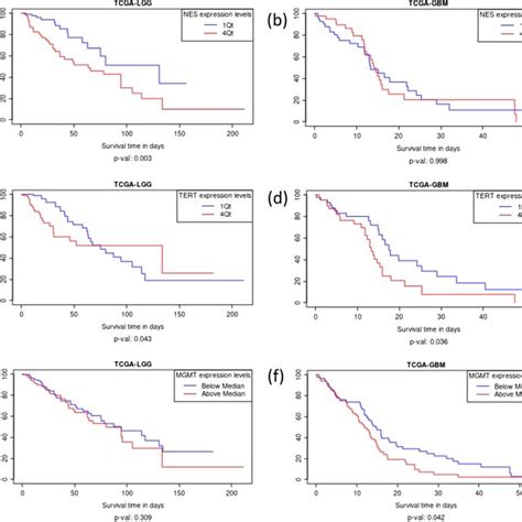 Prognostic Significance Of Genes Nes Tert And Mgmt In Lgg Vs Gbm Download Scientific Diagram