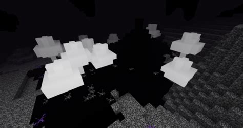 Null Biome Voidscape