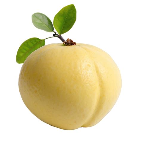 Download Aromatic Quince Png Slo