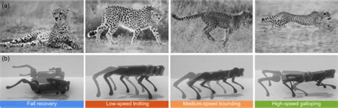 논문 리뷰 Discovery Of Skill Switching Criteria For Learning Agile Quadruped Locomotion