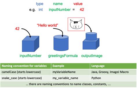 Variables Bioimage Analysis Training Resources
