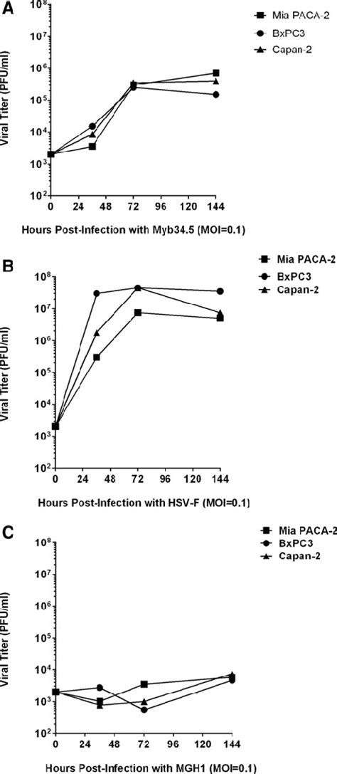 Viral Infection Of Pancreatic Cancer Cells In Vitro Bxpc 3 Mia