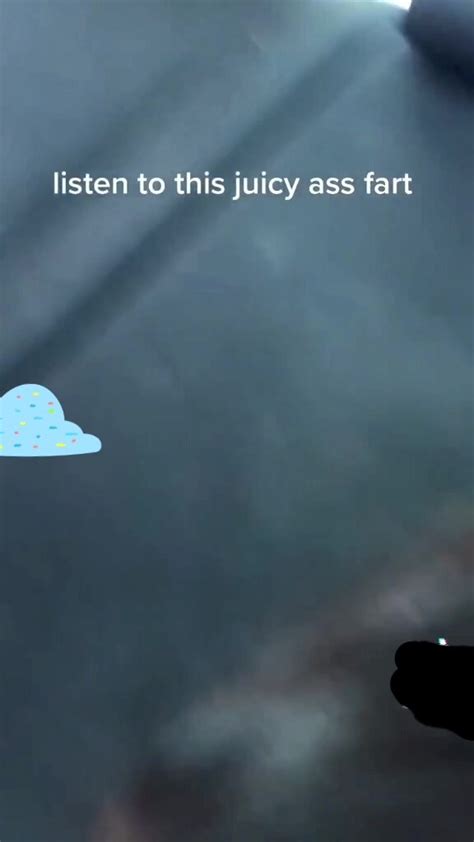 Tiktok Girl Farts In Car