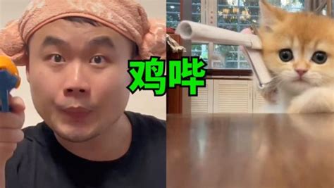 坑多多 骗局套路大揭秘