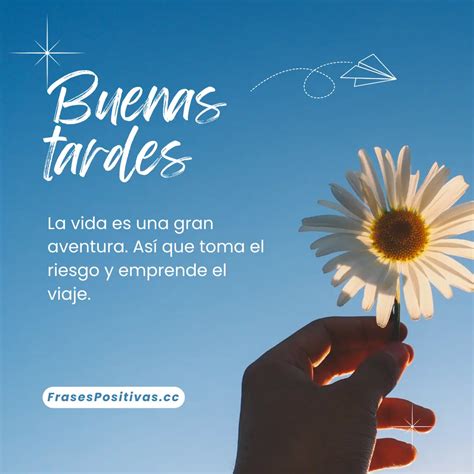 ¡buenas Tardes 100 Frases De Amor Positivos Y Bonitas Fotos