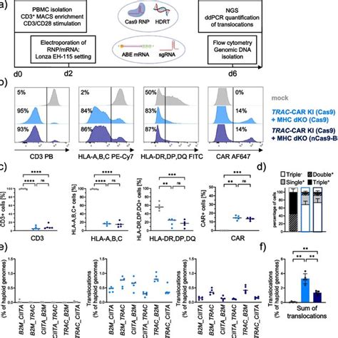 Latest Biased Unbiased Off Target Detection Methods Download