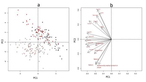 The Scoring And Loading Plots Of The Principle Component Analysis Pca