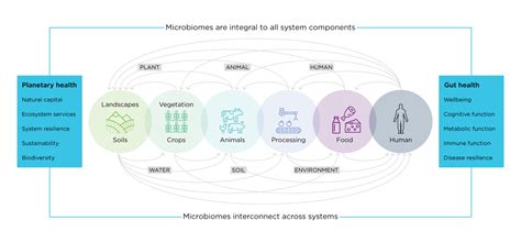 Microbiomes To Showcase Capability In The Microbiome Science Capability