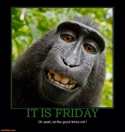 Hell Yeah Its Friday Quotes Quotesgram