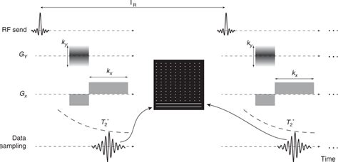 Gradient Echo Sequence Pulsed Field Gradients Generate K Space Download Scientific Diagram