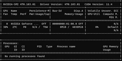 Nvidia Nvenc With Docker Rjellyfin