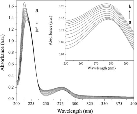 Ultraviolet Visible Absorption Spectra Of Trypsin In Absence And