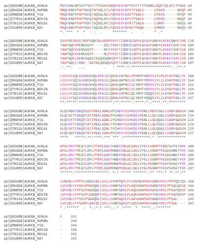Examples — Jmsa 10 Snapshot Documentation