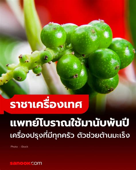 Sanook รู้จัก ราชาเครื่องเทศ ไม่ใช่แค่ชูรสอาหาร แต่มีประโยชน์นับไม่ถ้วน แพทย์โบราณใช้เป็นยา