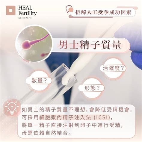 人工受孕 體外受精 Ivf試管嬰兒香港 希愈生殖醫學中心
