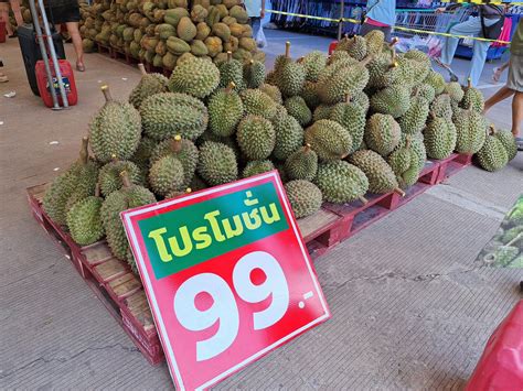 สถานีหนองคาย มาในเมืองหนองคายแล้วทุเรียน99 งานมหกรรมทุเรียนหมอนทอง ชะนีไข่ จากสวน จ