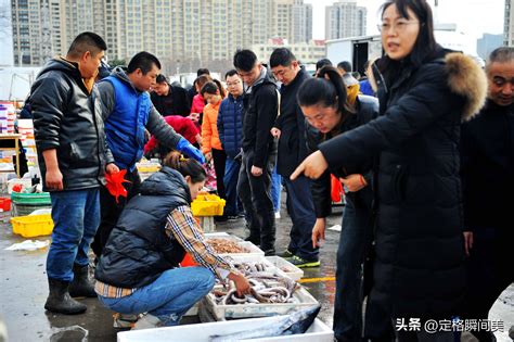 41一斤！青岛鲅鱼上“女婿提货清单” 三大原因让人下手不敢太放肆食材价格肉质