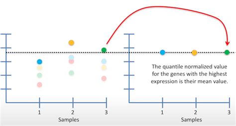 Quantile Normalization