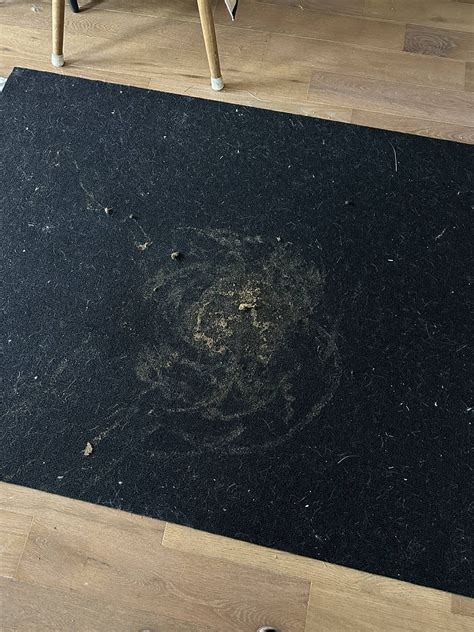 It Seems The Object Detection Doesnt Work As Well As I Hoped It Would S6 Maxv Rroborock