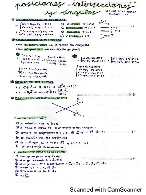 Esquema Temas 4 Y 5 Claudia De La Muela Pdf