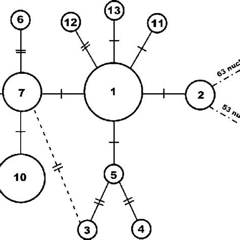 Minimum Spanning Network Showing The Relationships And The Relative