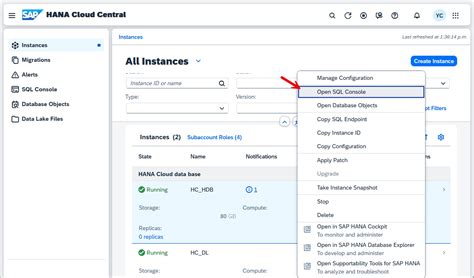 Query Databases Using The Sql Console In Sap Hana Cloud Central Sap