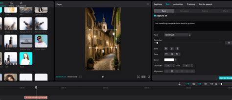 Text Not Showing Why Used Auto Caption If I Remove It And Write It