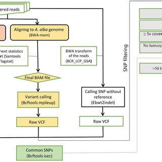 Schematic Workflow Showing The Major Steps In The Three Different SNP Download Scientific